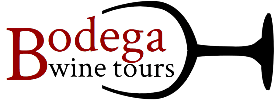 Bodega Wine Tours - Great Value Wine Tours from Santiago, Chile